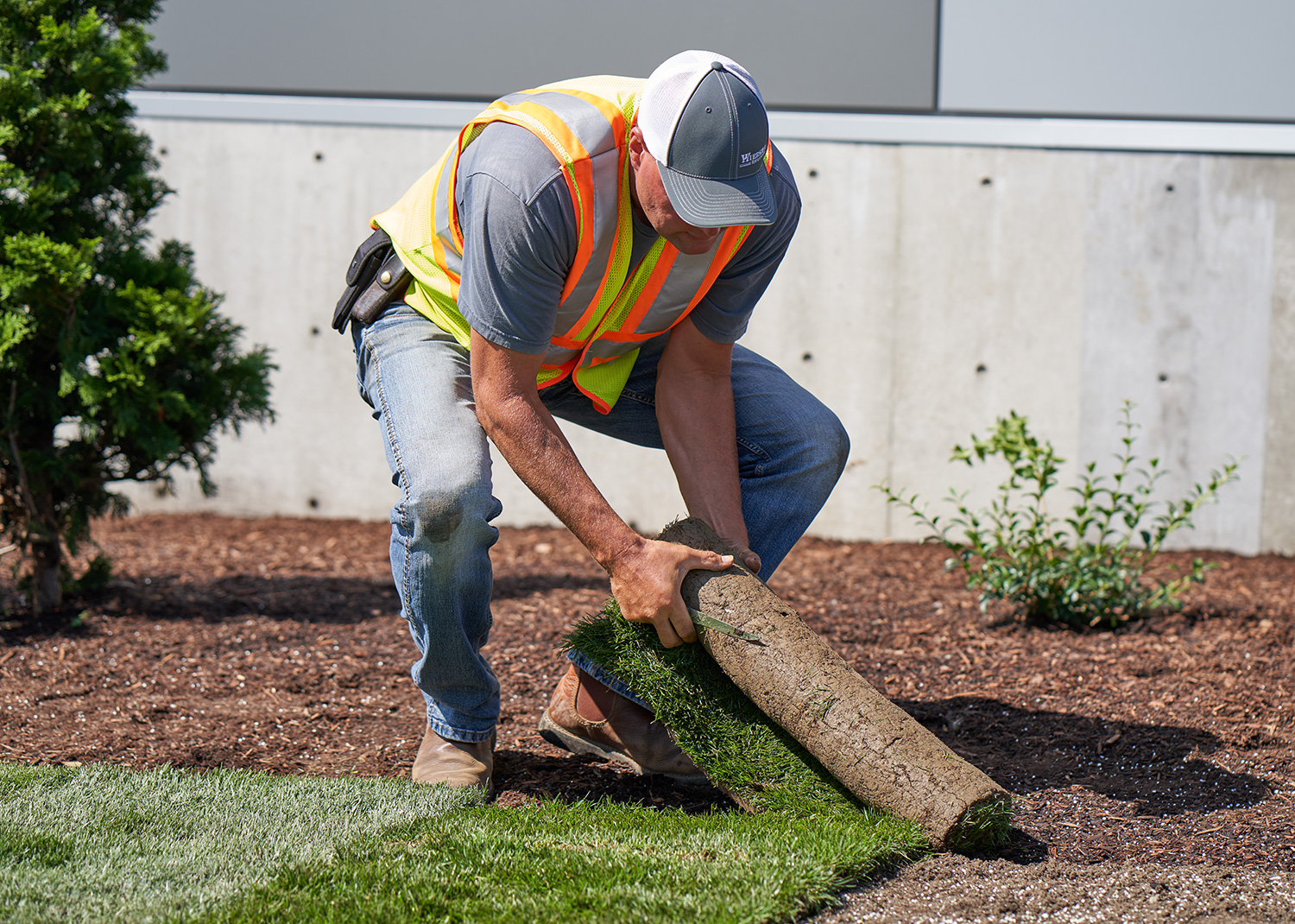 Turf - Professional Turf Growers