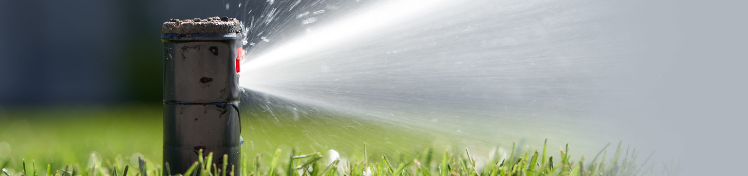 How to Grow Like a Pro - Professional Turf Growers