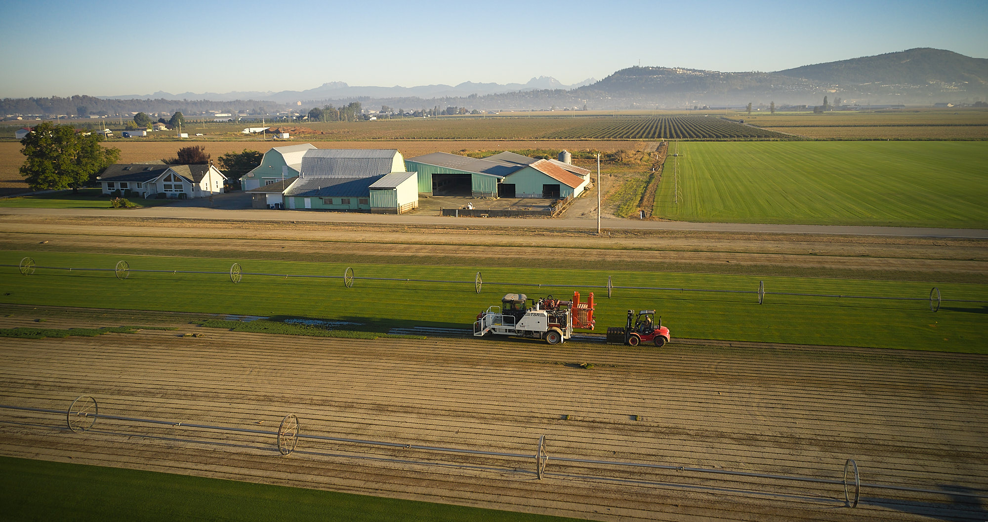 Photo Gallery - Professional Turf Growers