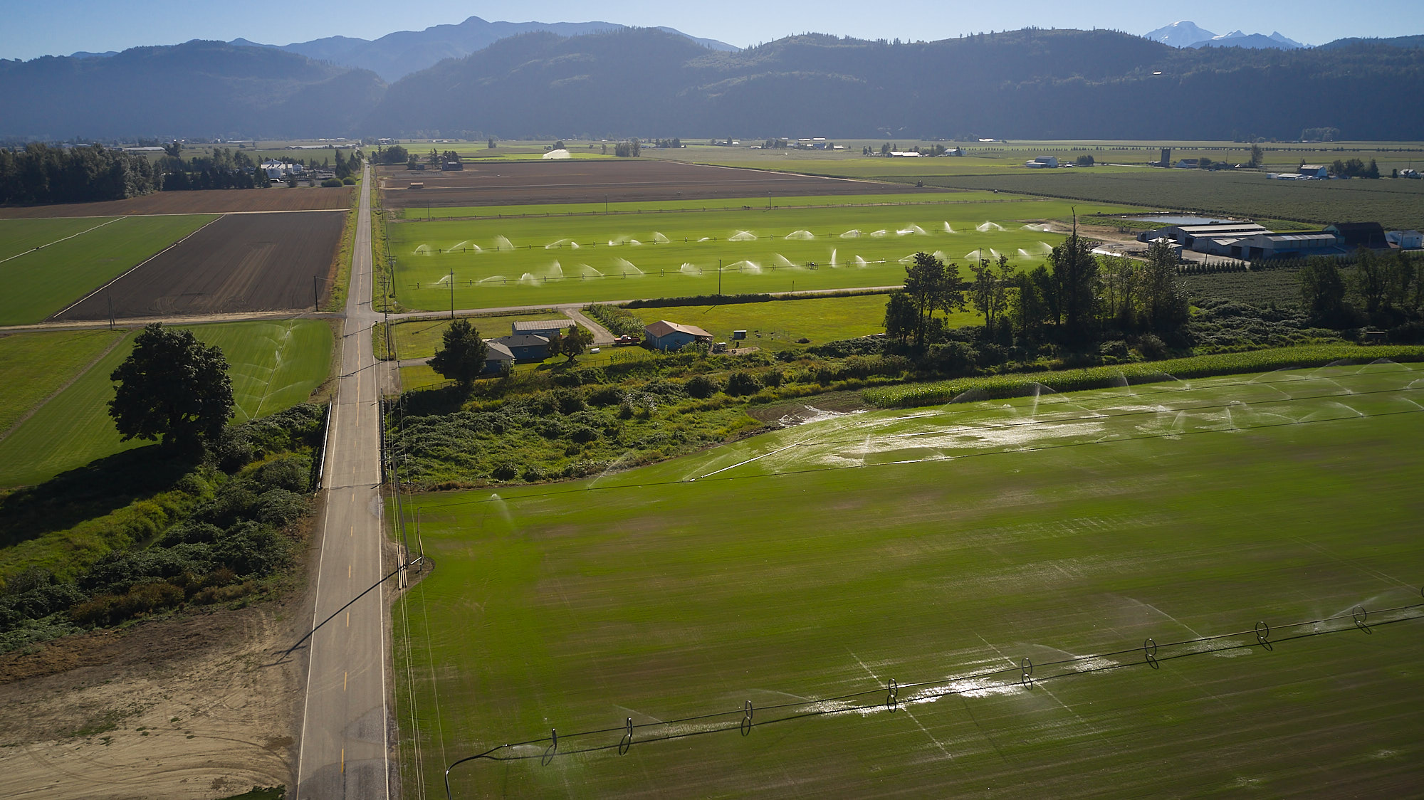 Photo Gallery - Professional Turf Growers