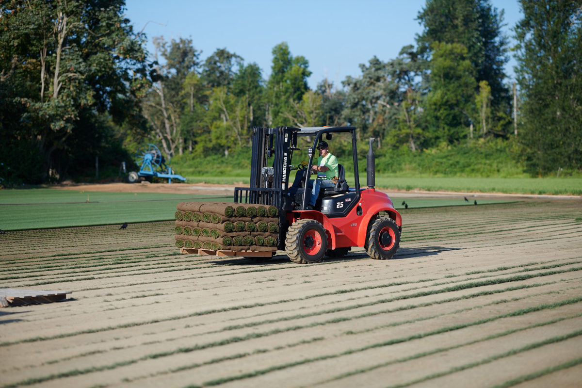 Photo Gallery - Professional Turf Growers