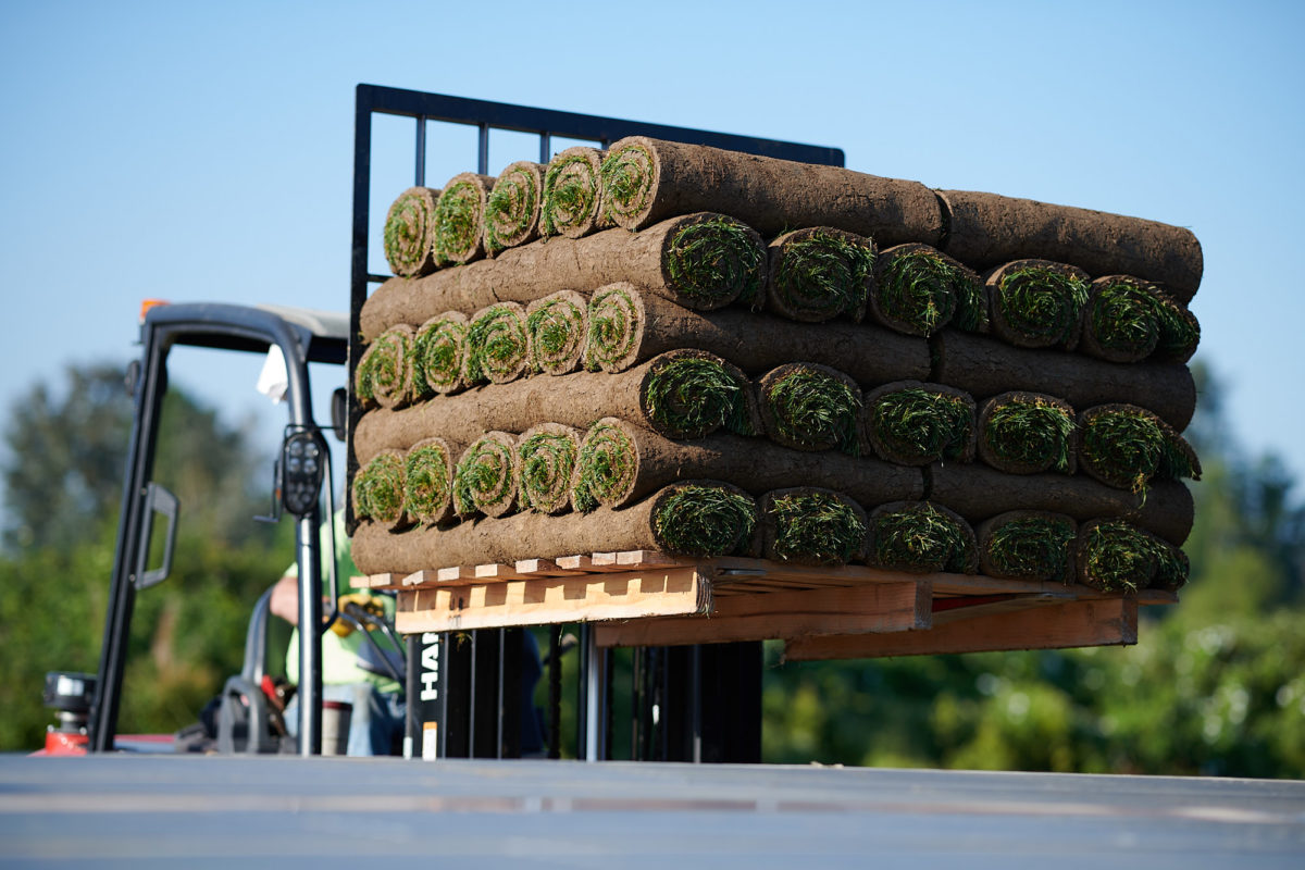 Photo Gallery - Professional Turf Growers