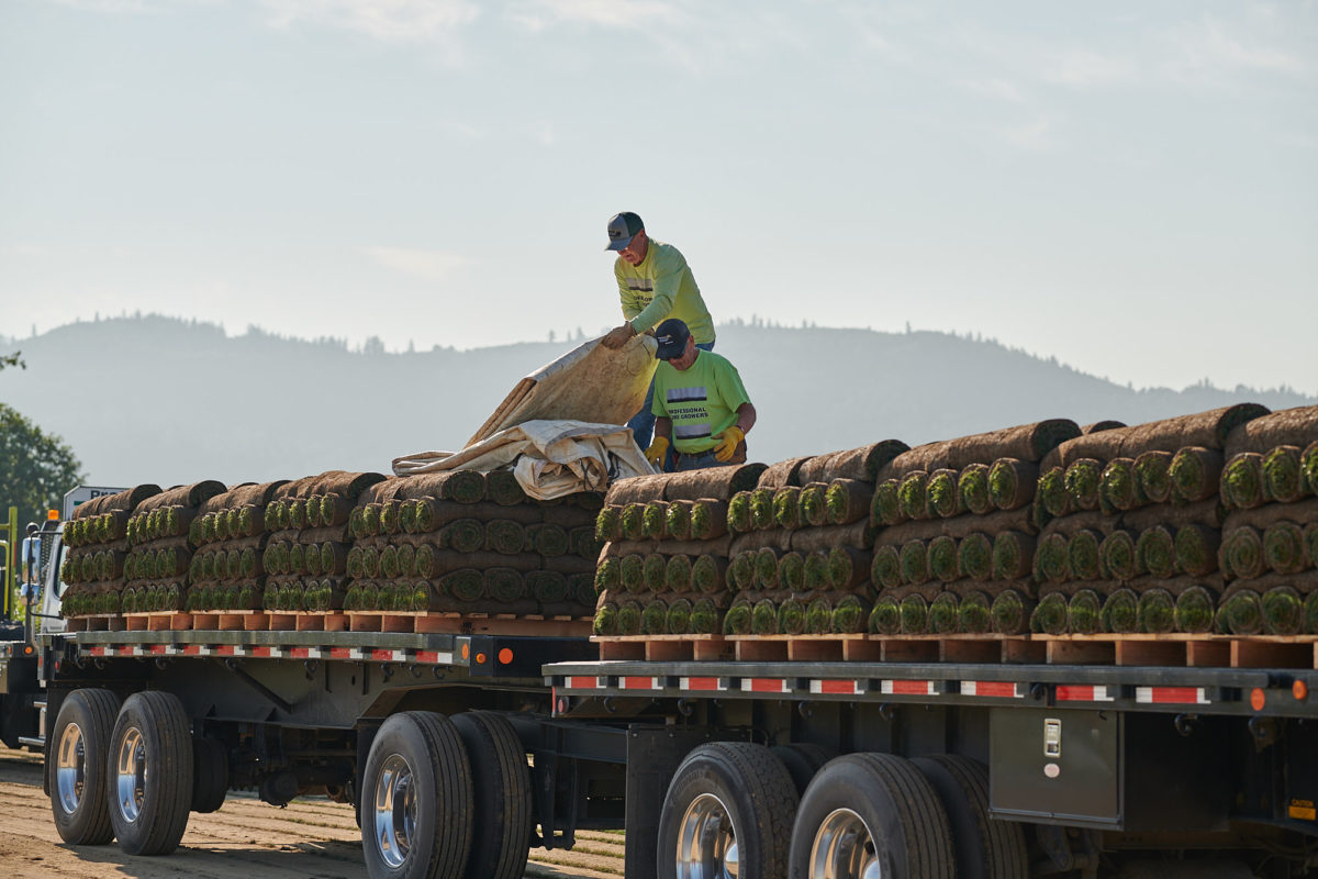 Photo Gallery - Professional Turf Growers
