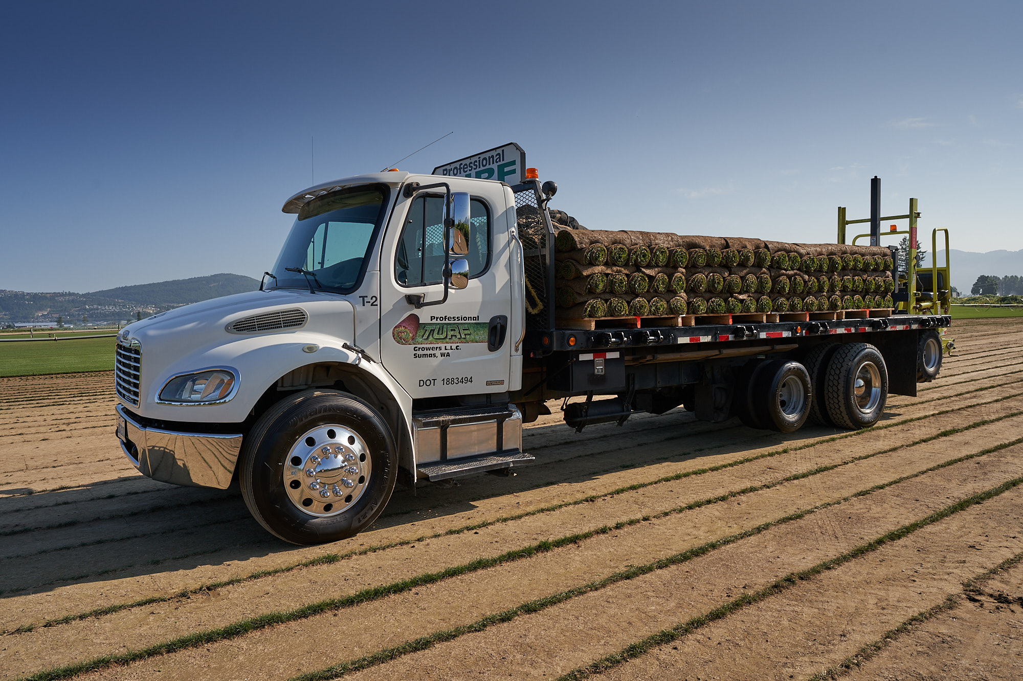 Photo Gallery - Professional Turf Growers