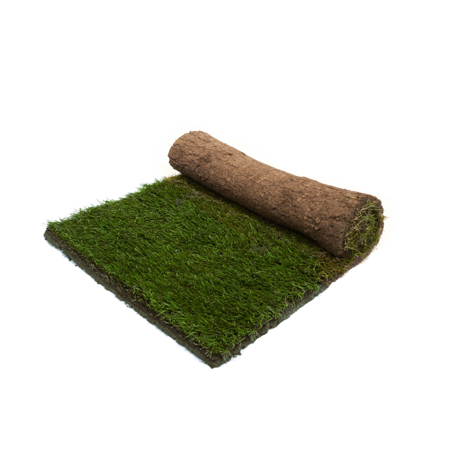 Pro Turf Northwest Blend Sod - Professional Turf Growers